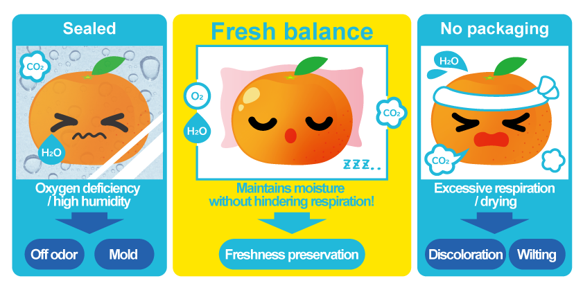 Launch of Fresh Balance® Freshness Preservation Film｜News｜RIKEN TECHNOS ...